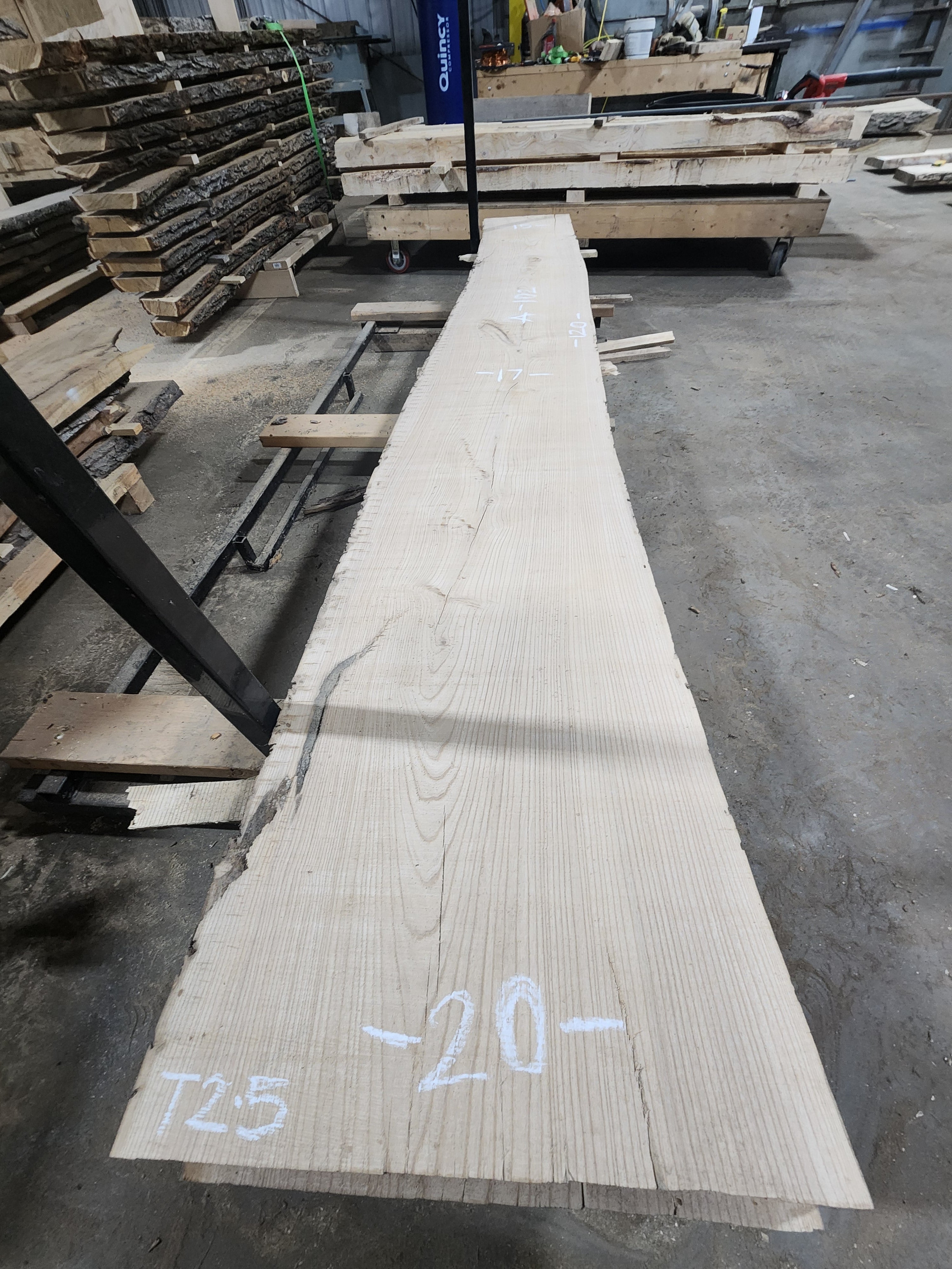 Ash A-102 – Twigs to Timbers