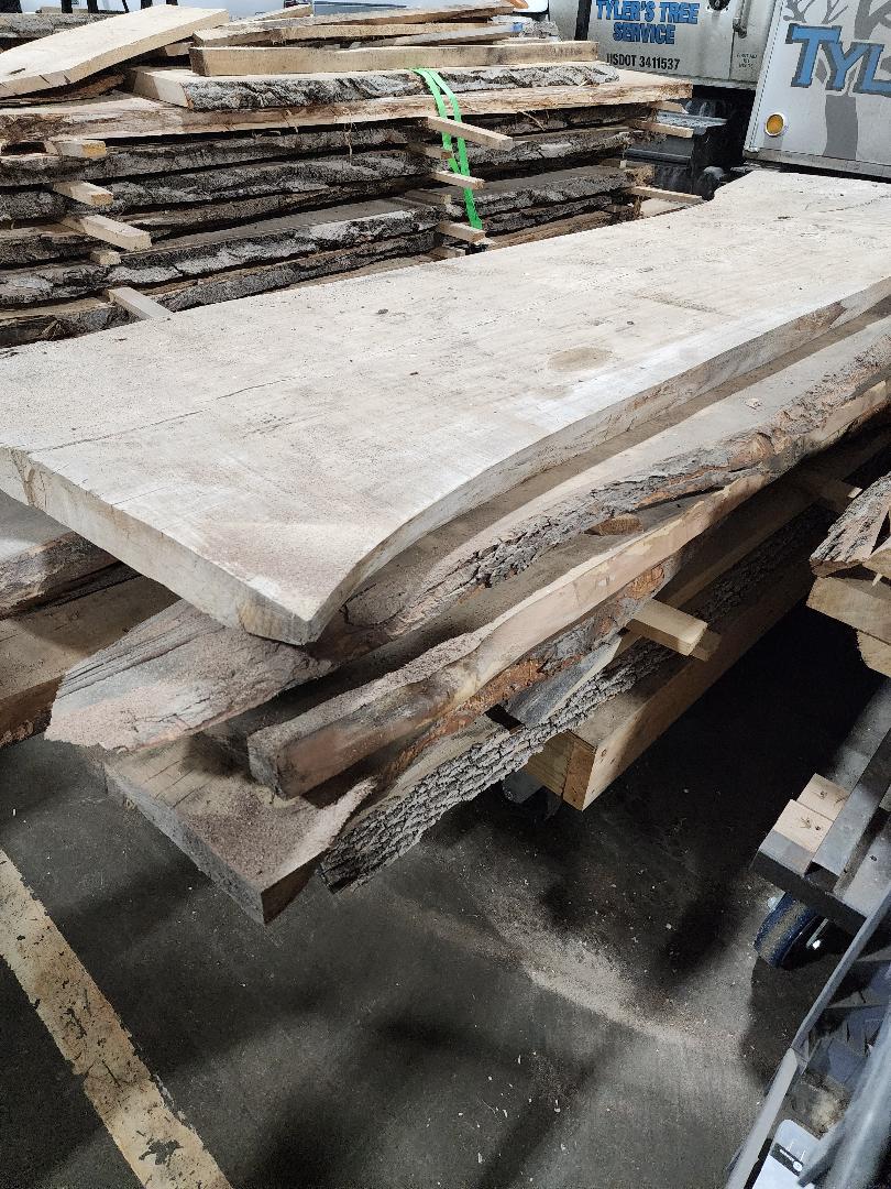 Maple M-101 – Twigs to Timbers